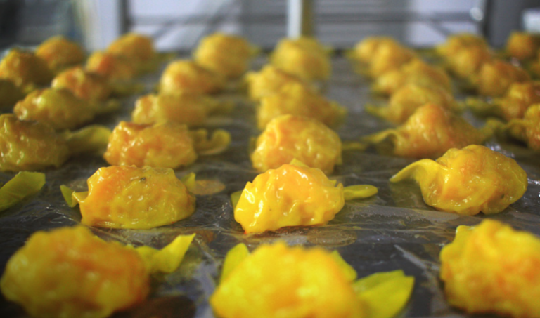 Origin of Dim Sum: Exploring the History and Heritage