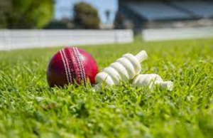 The History of Cricket: Pioneers, Progress, and Perseverance