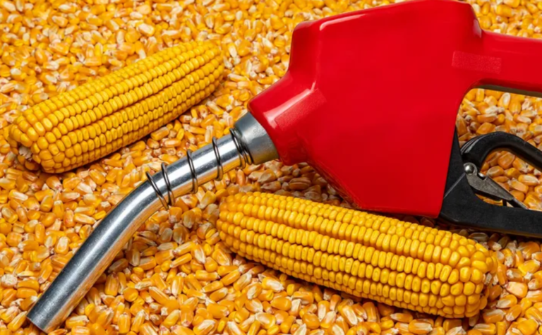 The History of Biofuels: Pioneering the Future of Energy