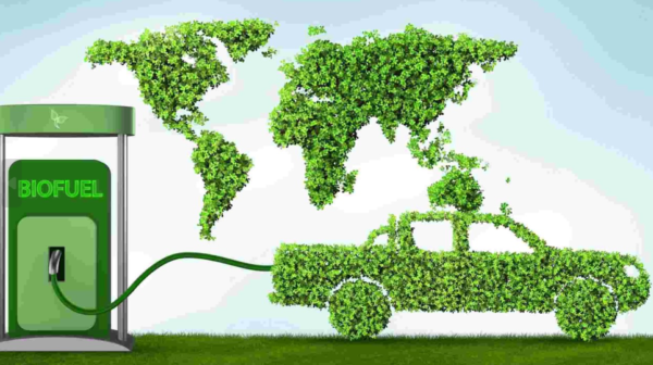 The History of Biofuels: Pioneering the Future of Energy