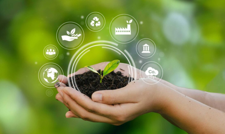 The History of Biofuels: Pioneering the Future of Energy