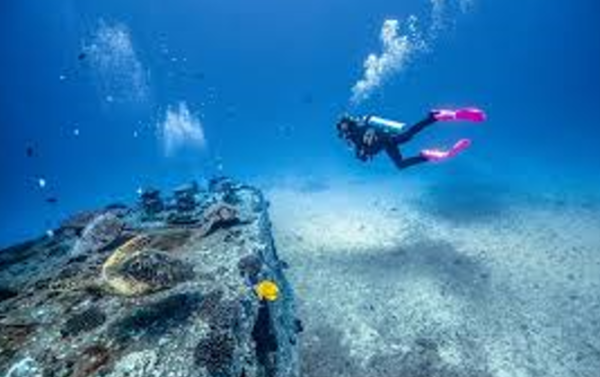 The Deep Evolution: Uncovering the History of Diving